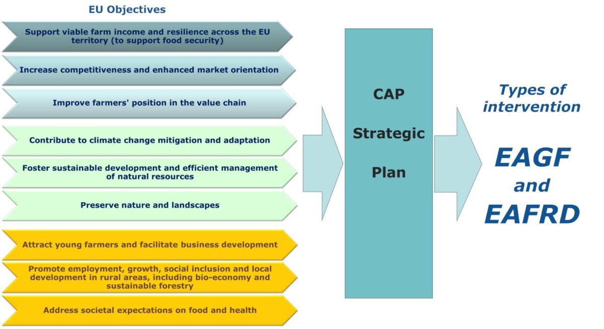 CAP strategic planning: scope and implications | CAP Reform