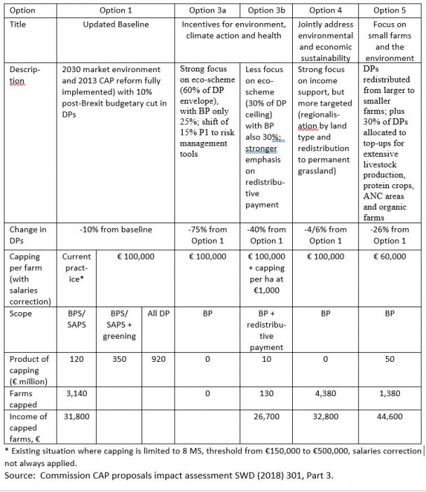More on capping direct payments | CAP Reform