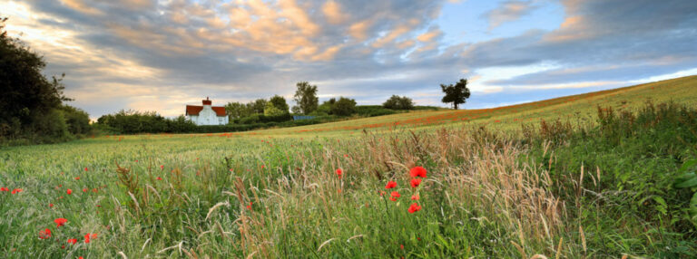 What can we learn from the dismantling of GAEC 8? – CAP Reform