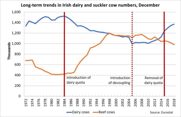 Why funding a suckler cow reduction scheme in Ireland makes sense | CAP ...