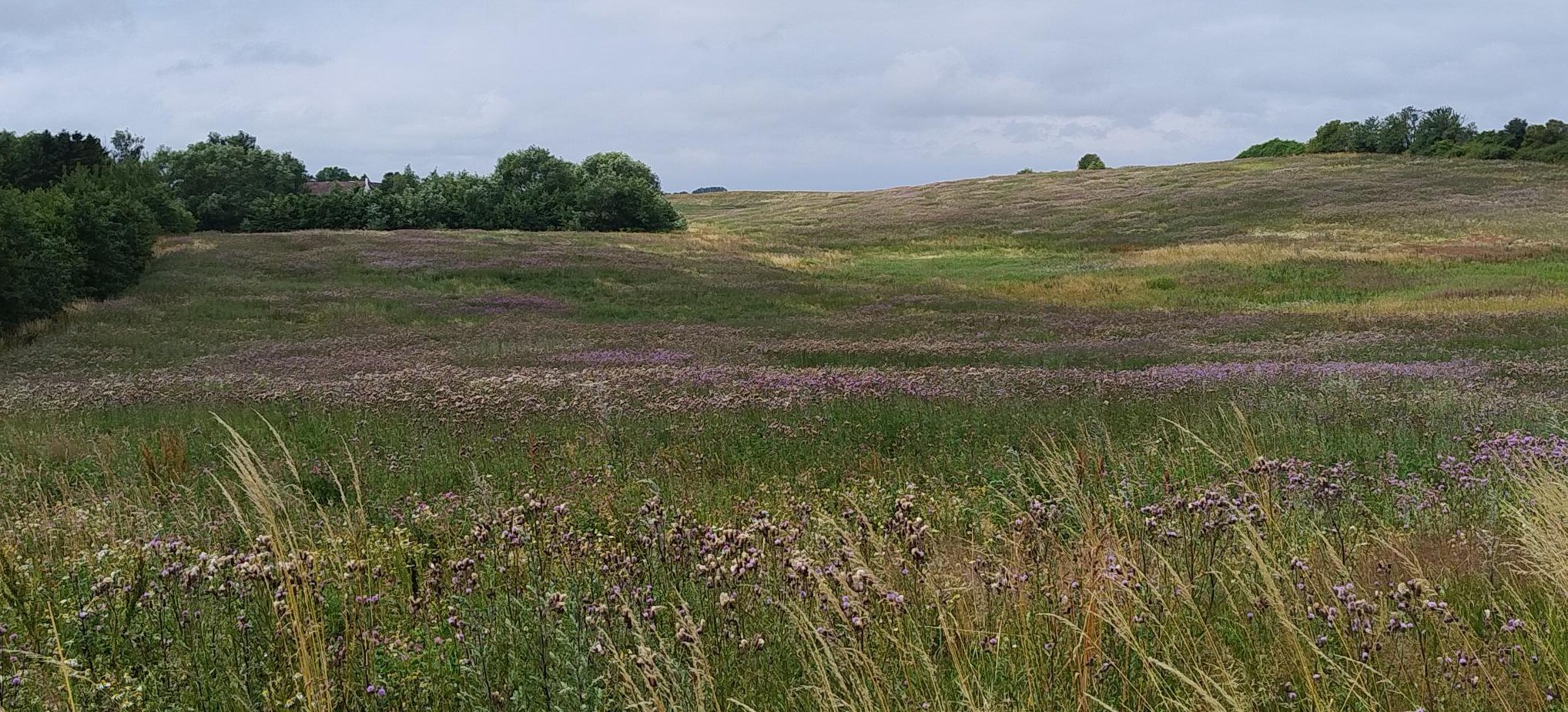 The Commission’s CAP budget proposal in the next MFF – CAP Reform