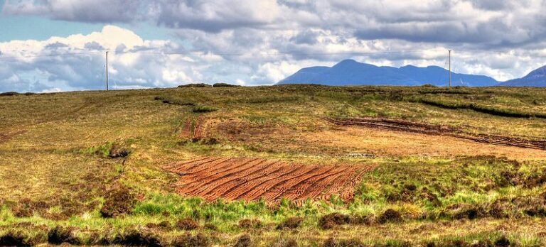 Incentivising climate action in Irish agriculture and land use – CAP Reform